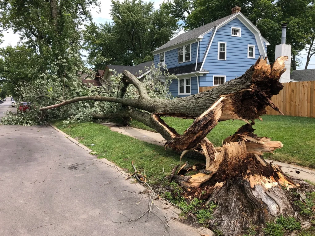 storm damage cleanup | Red Shovel Landscaping